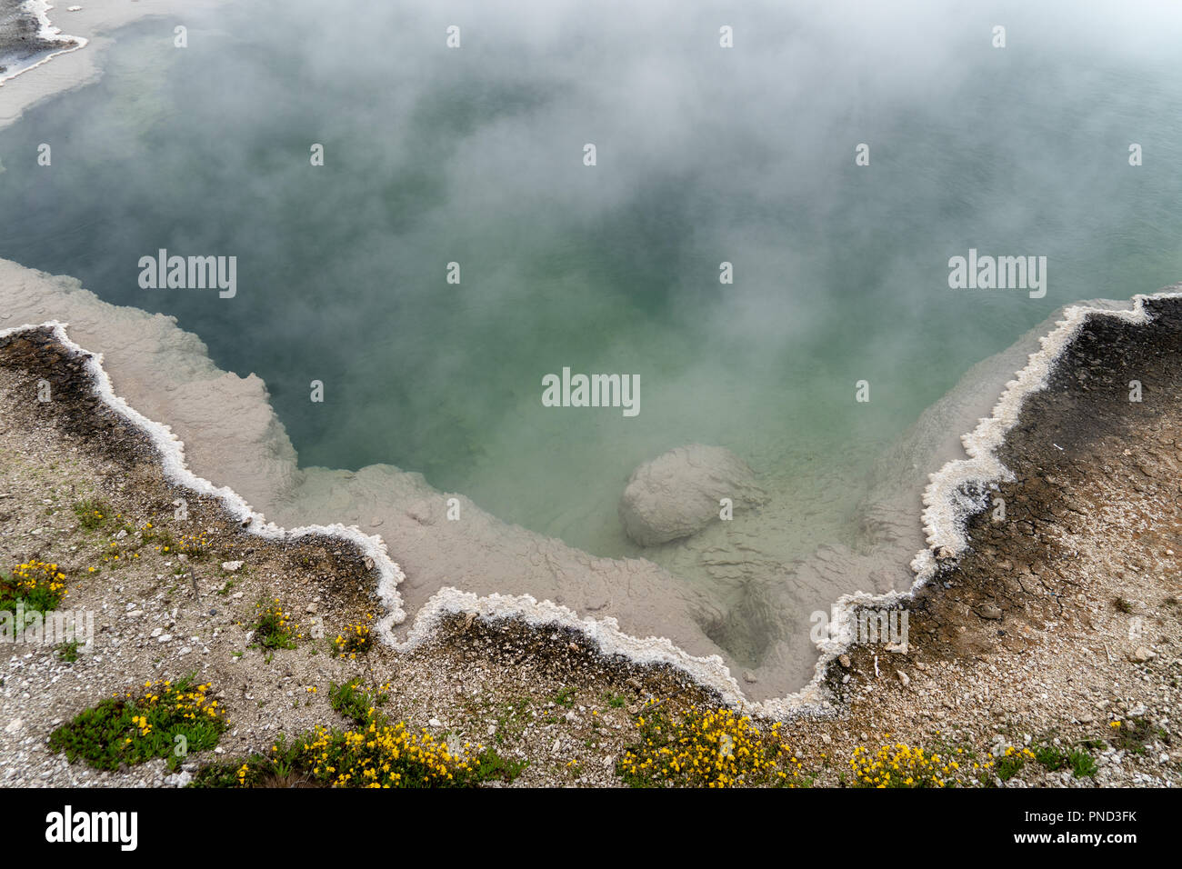 Close up photo showing texture and natural colors of a geyser thermal ...