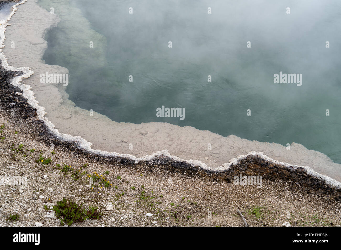 Close up photo showing texture and natural colors of a geyser thermal ...