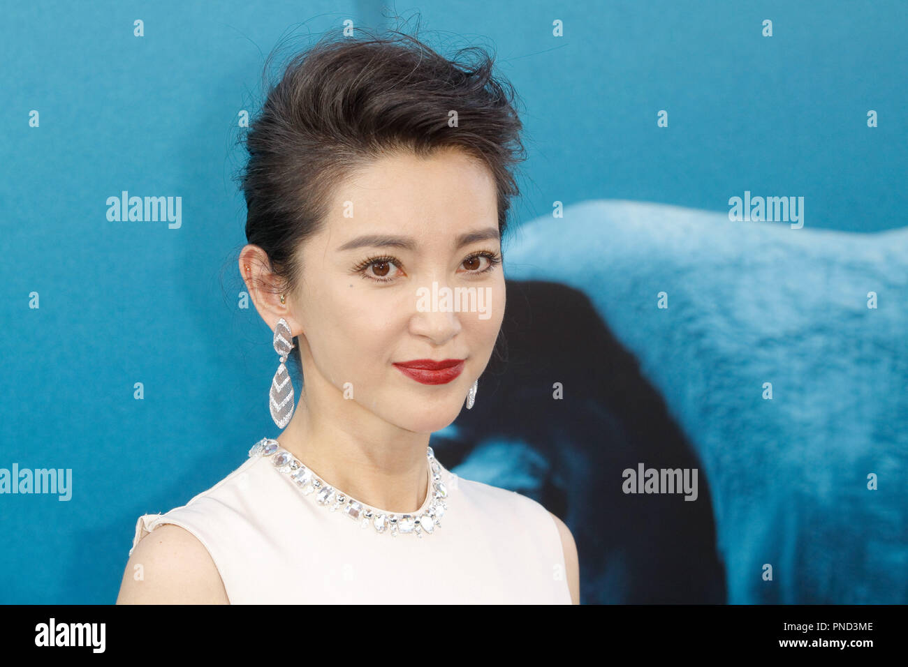 Li Bingbing at the Premiere of Warner Bros' "The Meg" held at the TCL ...