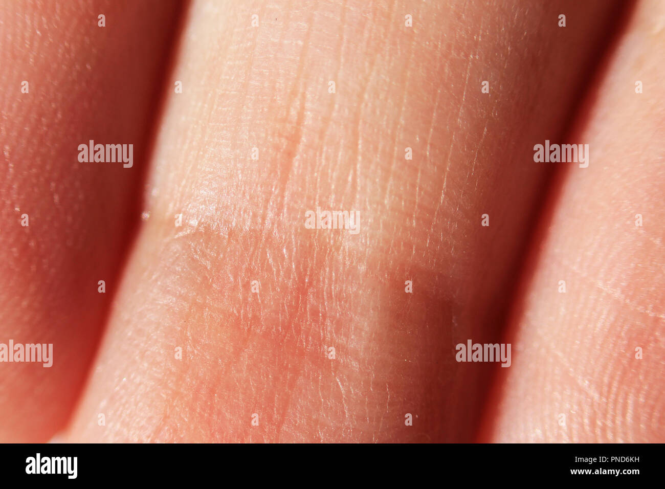 the fingers of the female hand on the inside. macro photography Stock ...