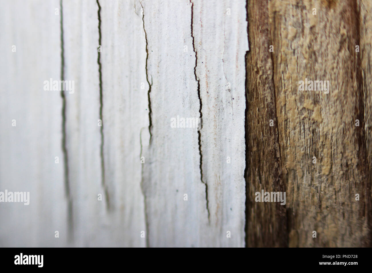 old white flaky peeling paint on a wooden window frame, macro Stock ...
