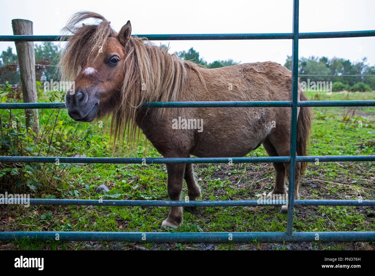 Kerry bog village museum hi-res stock photography and images - Alamy