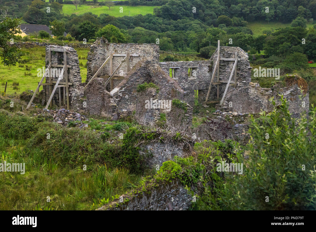 The ruins of the birthplace of famous Irish political leader Daniel O ...
