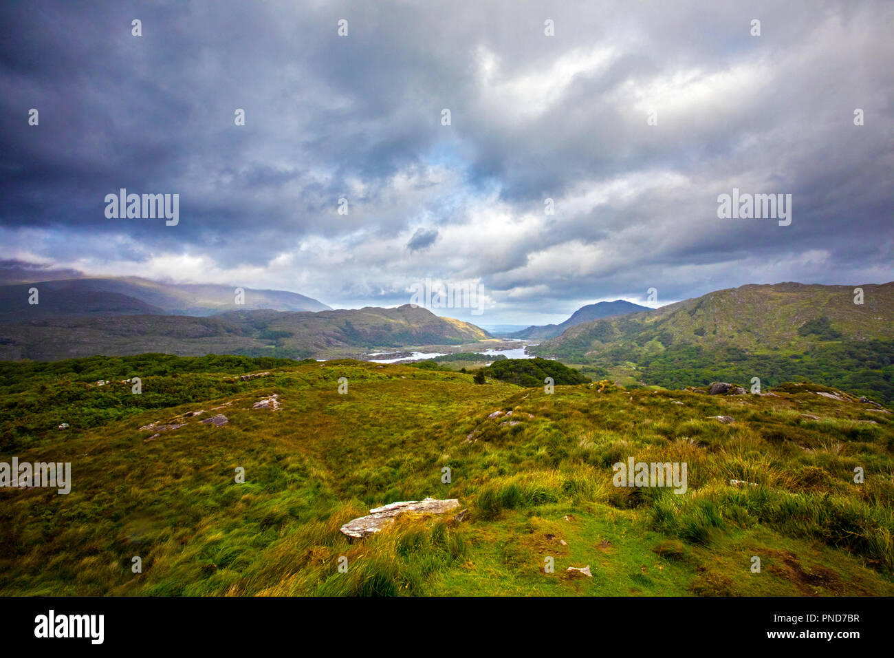 The view from Ladies View in the beautiful Killarney National Park in ...