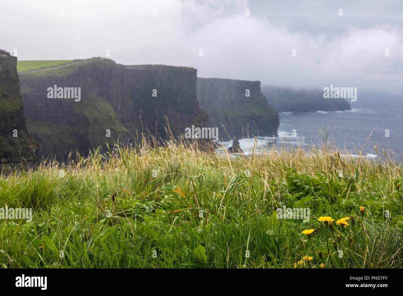 The magnificent Cliffs of Moher in County Clare, Ireland Stock Photo ...