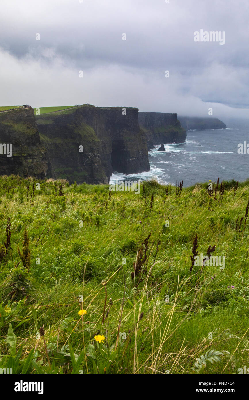 The magnificent Cliffs of Moher in County Clare, Ireland Stock Photo ...