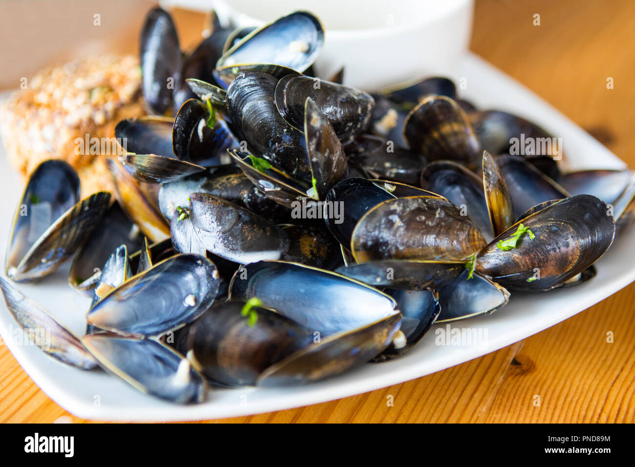 Empty mussel shells hi-res stock photography and images - Alamy