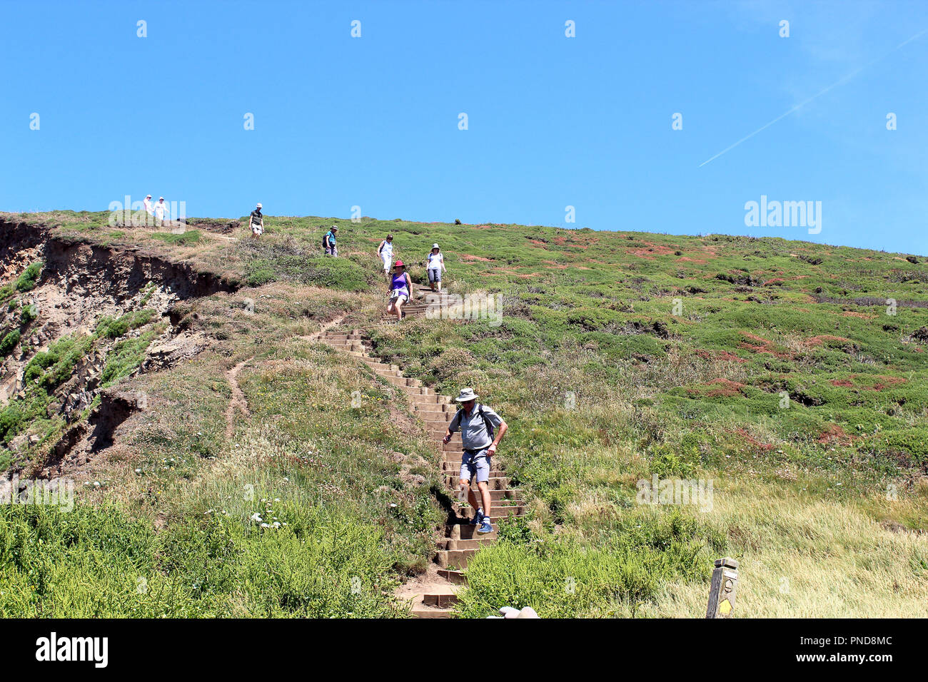 Walking down path steps hi-res stock photography and images - Alamy