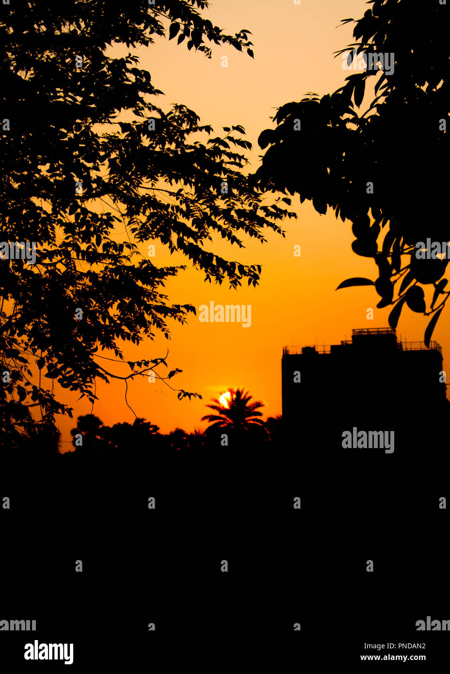 Beauty of sunset Stock Photo - Alamy