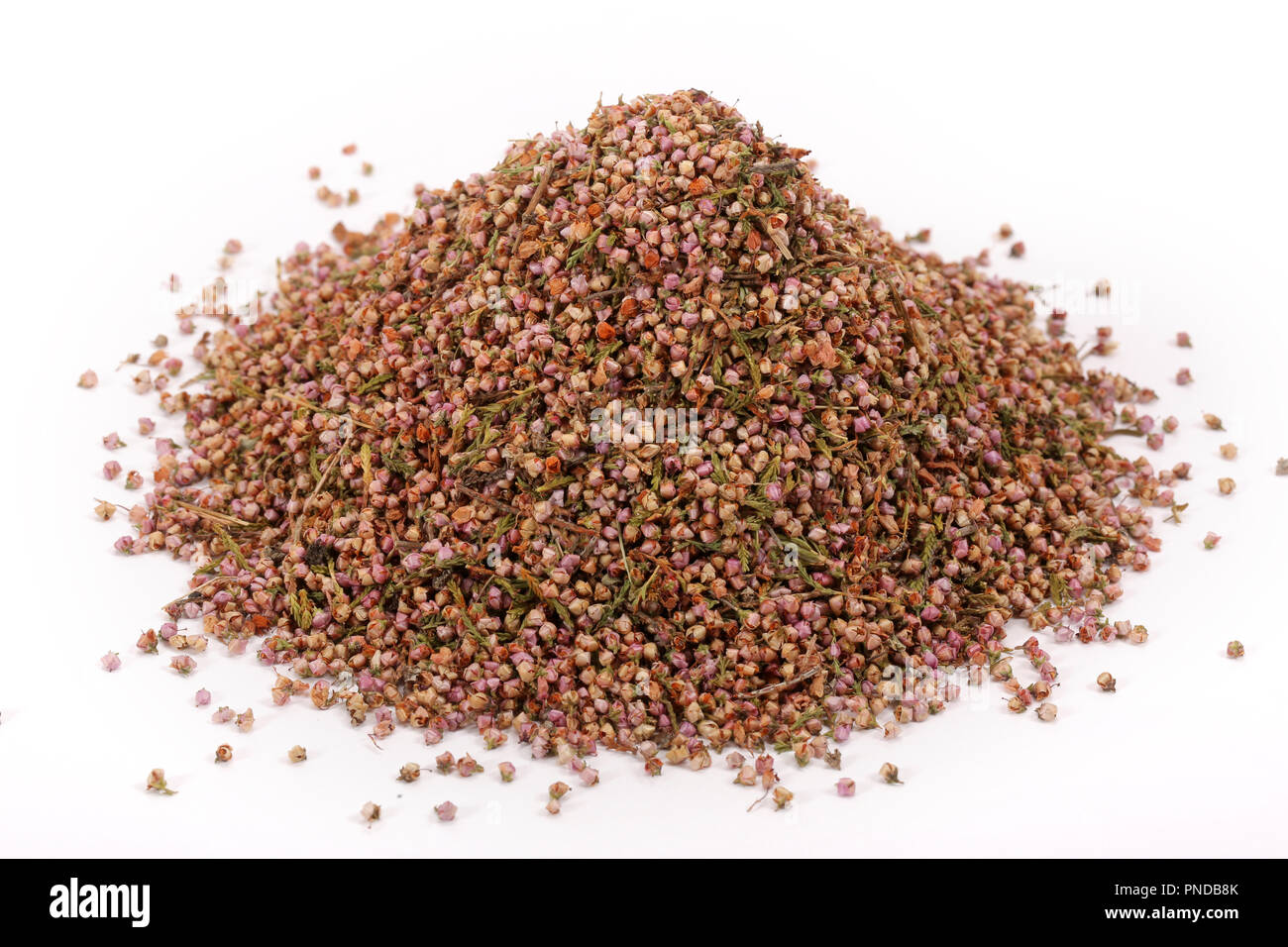 Dried heather flower medicinal herbs isolated on white background Stock ...