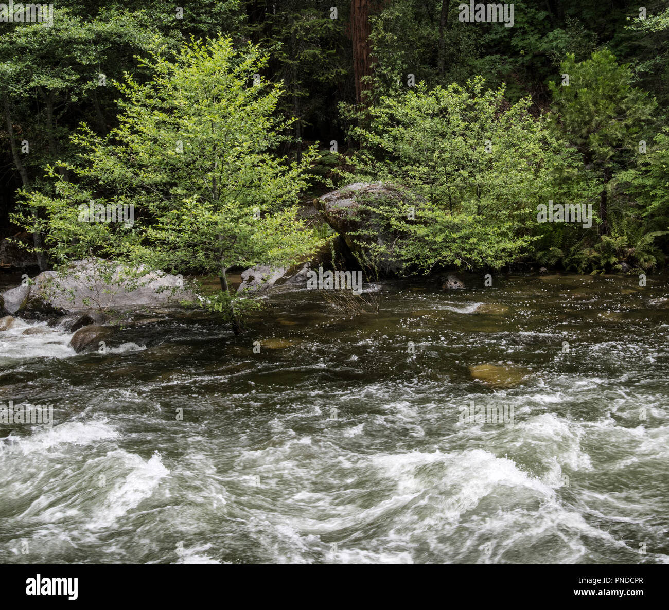 Merced group hi-res stock photography and images - Alamy