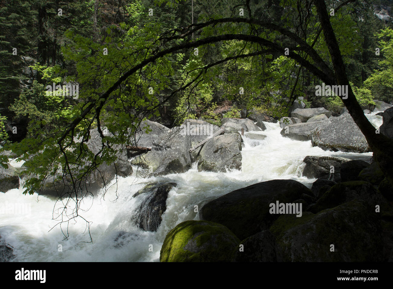 Merced river rafting hi-res stock photography and images - Alamy