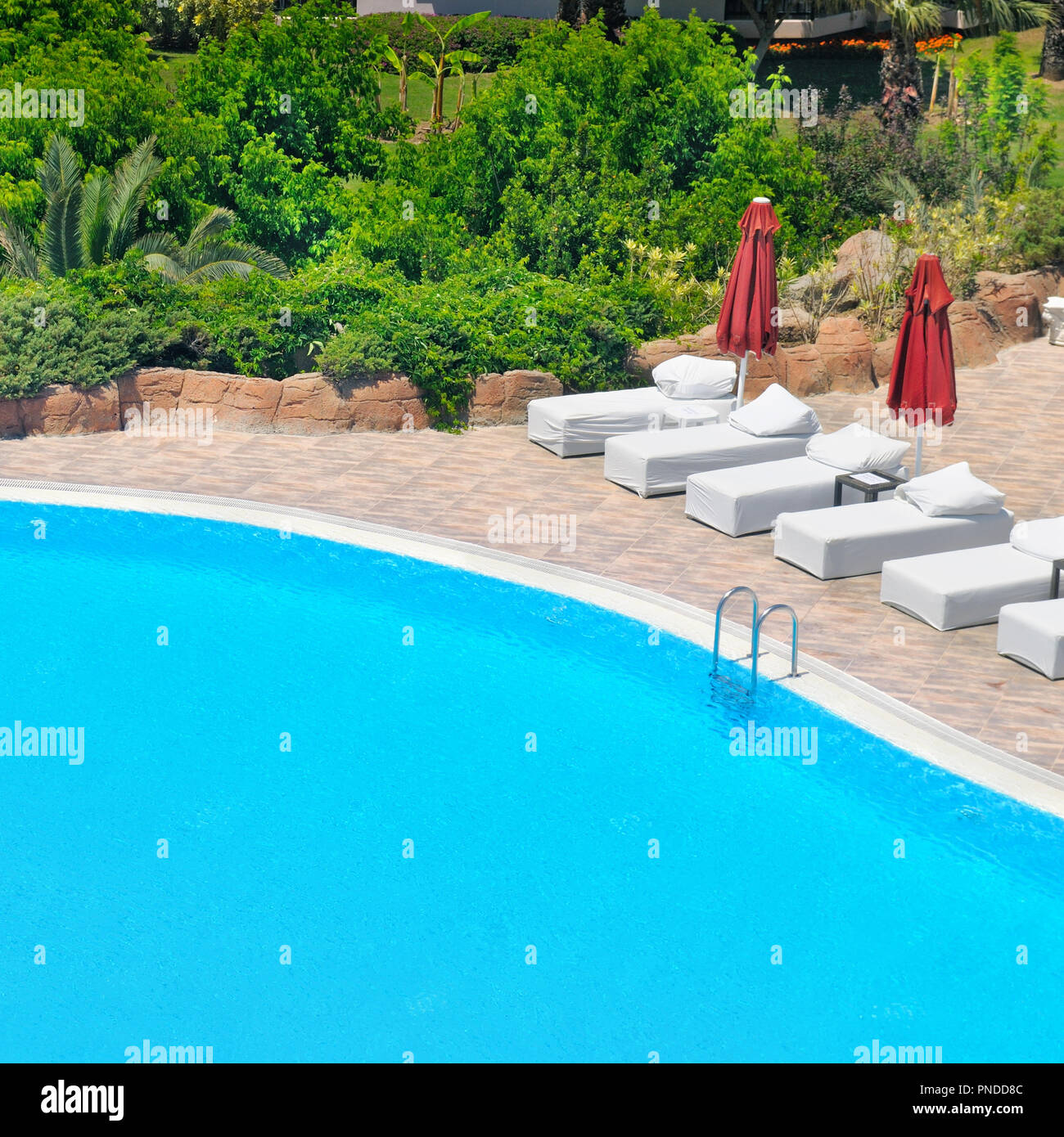 outdoor Swimming pool and lush vegetation Stock Photo - Alamy
