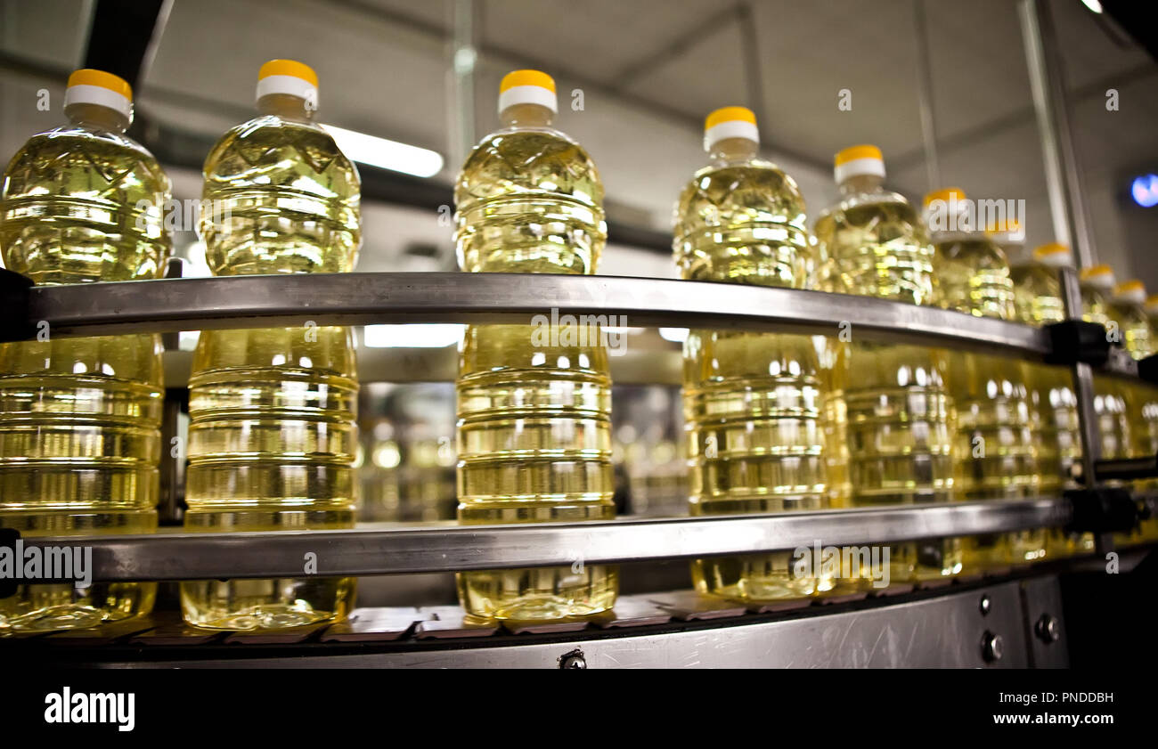 Sunflower oil in the bottle moving on production line. Shallow dof ...