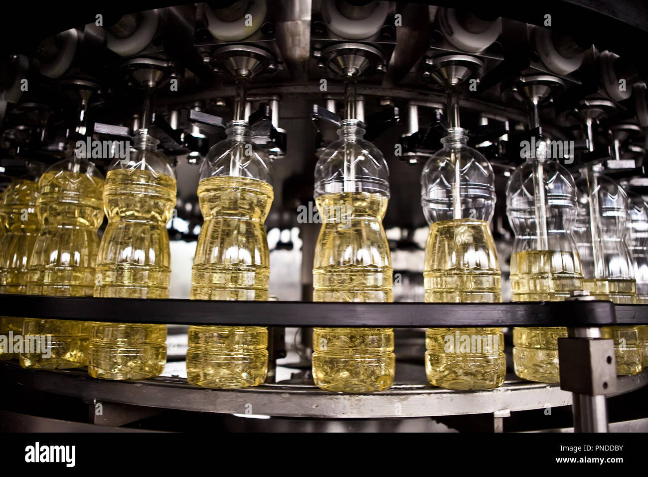 Sunflower oil in the bottle moving on production line. Shallow dof ...