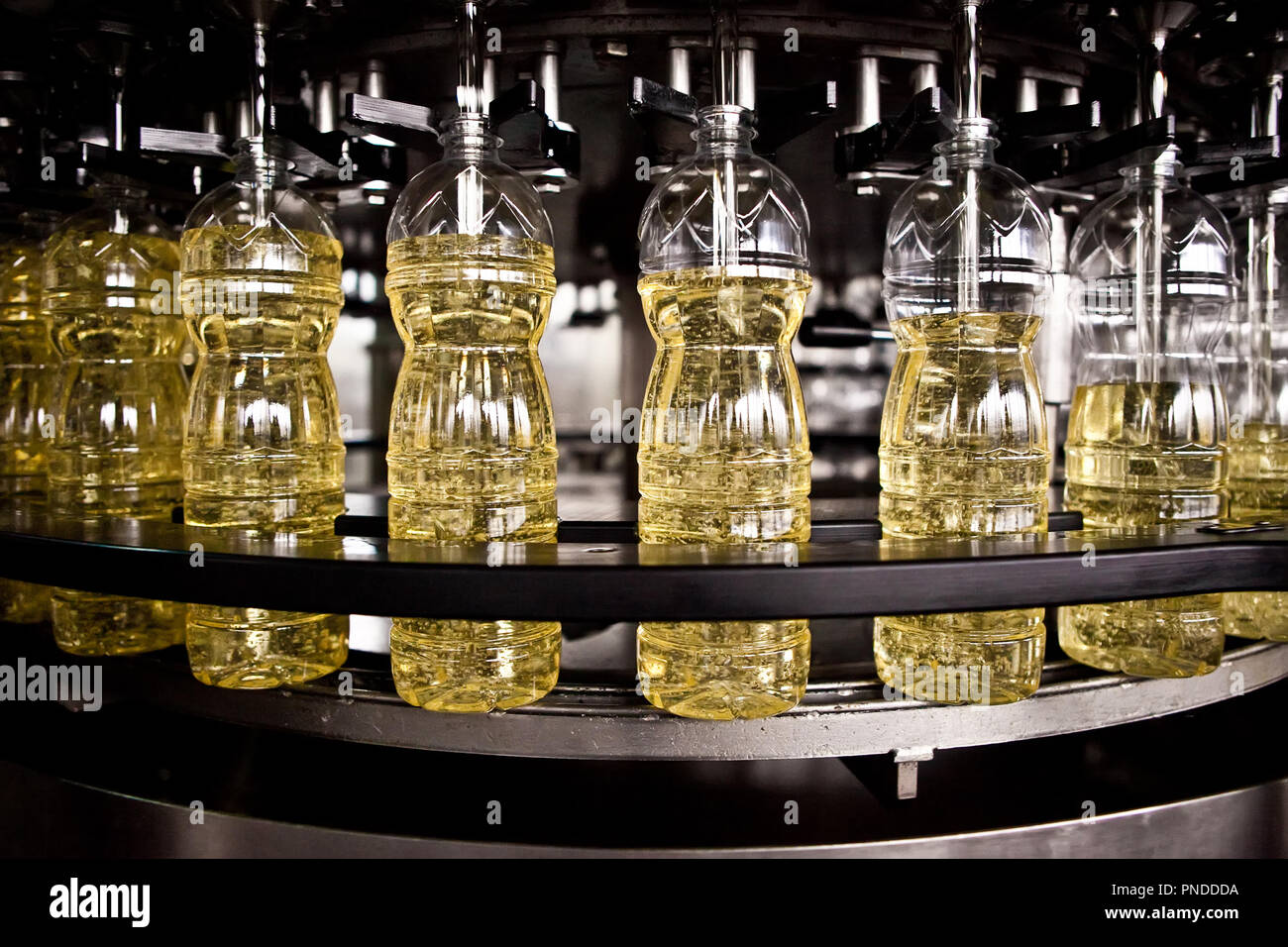 Sunflower oil in the bottle moving on production line. Shallow dof ...