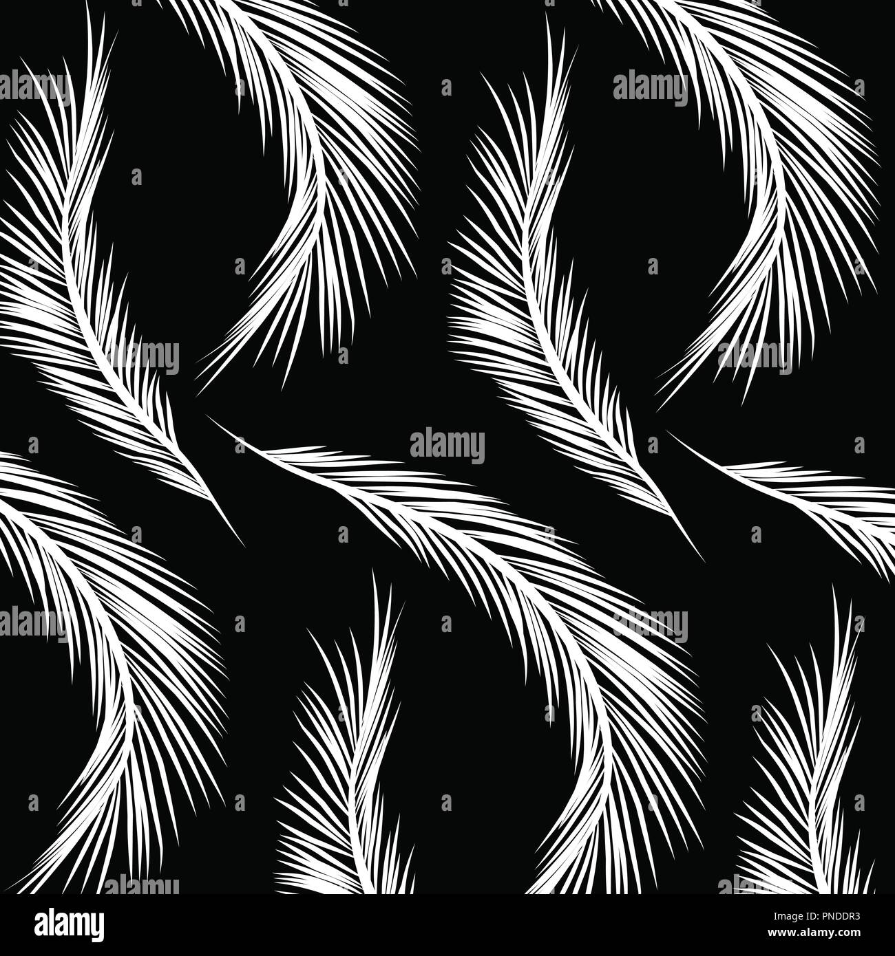 Palm Leaves Pattern - Black and White Natural Ornaments, Illustration ...