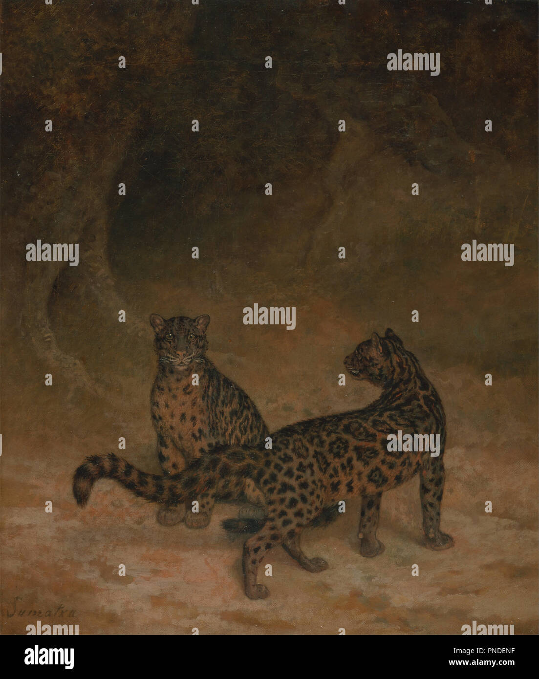 Indonesian cave painting hi-res stock photography and images - Alamy