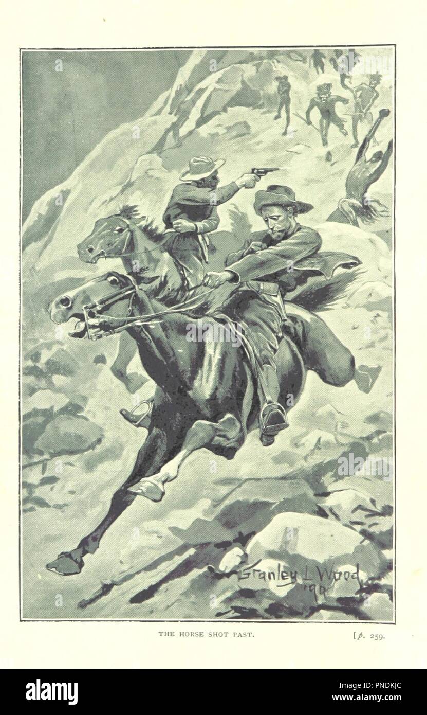 High veldt hi-res stock photography and images - Alamy