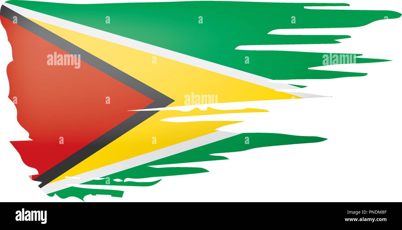 Guyana flag, vector illustration on a white background Stock Vector ...
