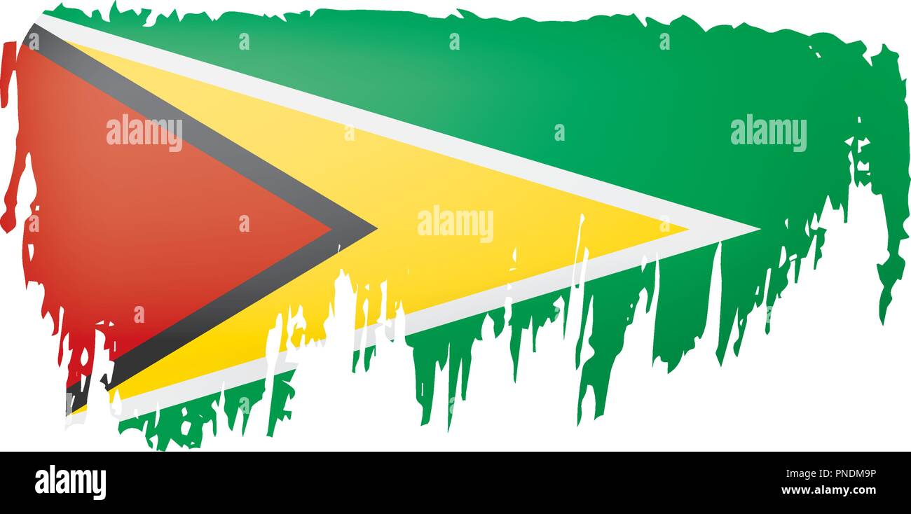 Guyana flag, vector illustration on a white background Stock Vector ...