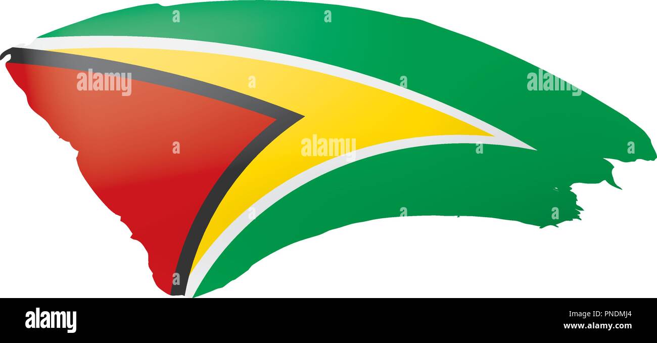 Guyana flag, vector illustration on a white background Stock Vector ...