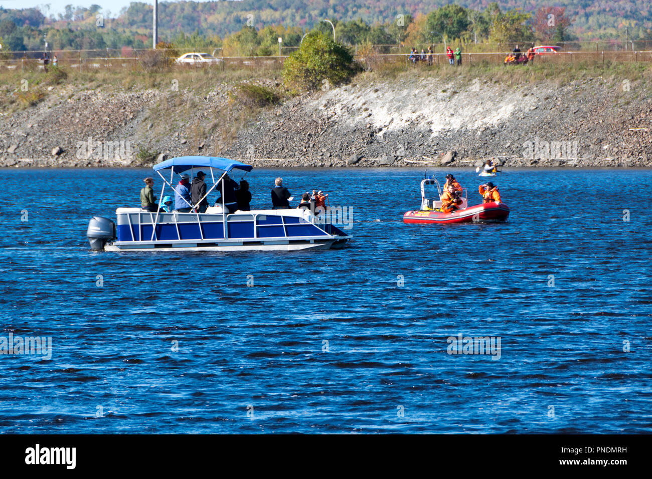 Pontoon boat with fans, friends and family watching the pumpkin race ...