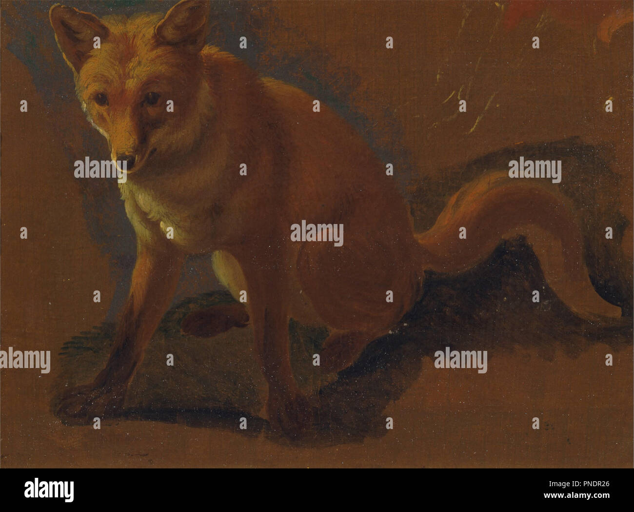 Study of a Fox. Date/Period: Between 1810 and 1830. Painting. Oil on ...
