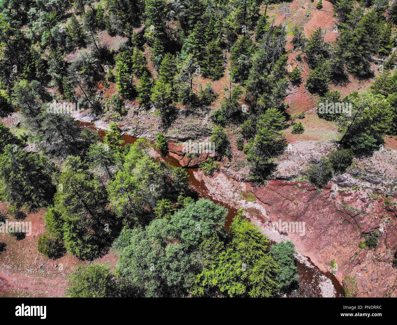 Vista aerea del paisaje, bosque y arroyo La Cueva en en La Mesa Tres ...