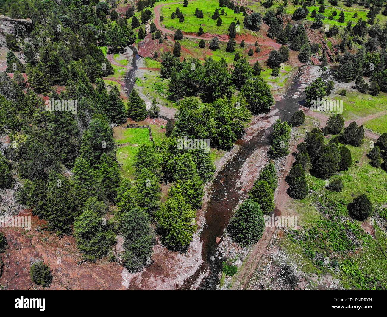 Vista aerea del paisaje, bosque y arroyo La Cueva en en La Mesa Tres ...