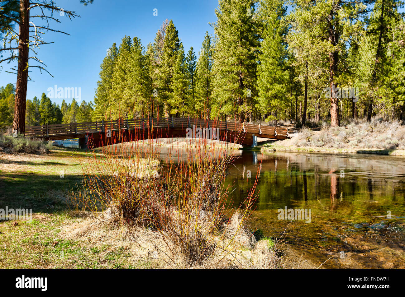 A foot bridge crosses Spring Creek, at Collier Memorial State Park off ...