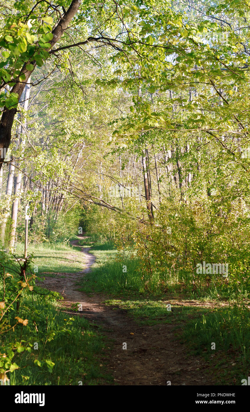 Pathway landscape hi-res stock photography and images - Alamy