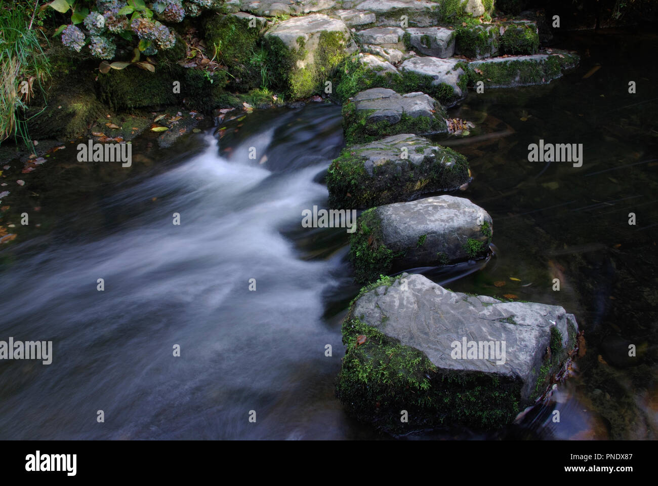 Stepping Stones over Stream Stock Photo - Alamy