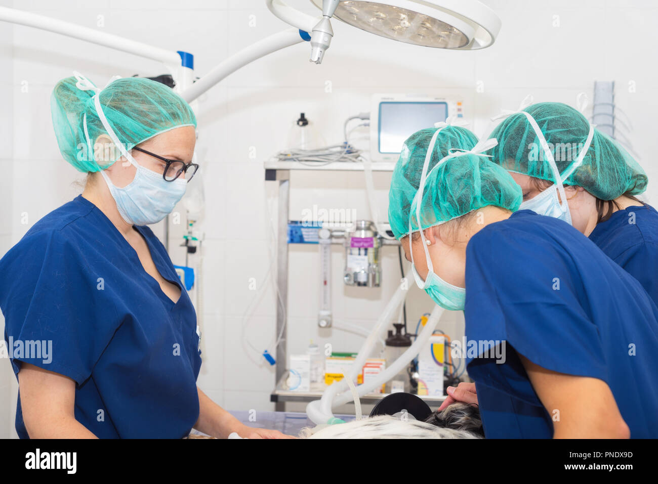 Anesthesia team hi-res stock photography and images - Alamy