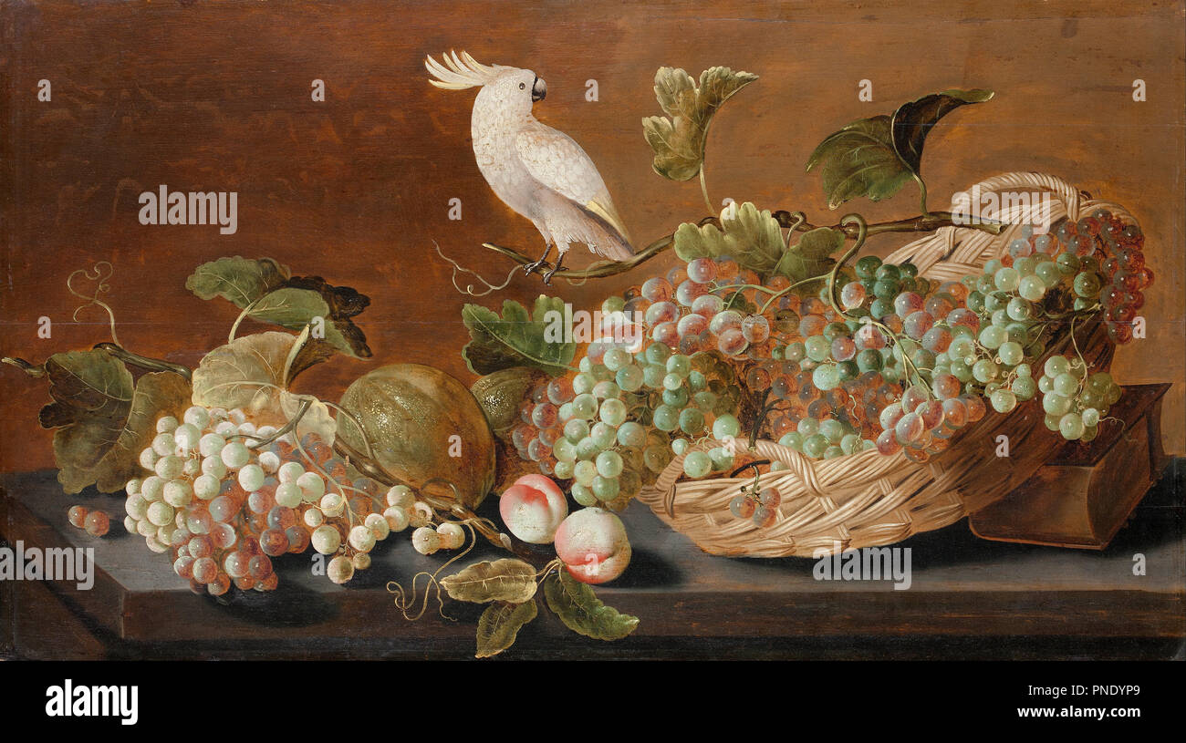 Still life with parrot hi-res stock photography and images - Alamy