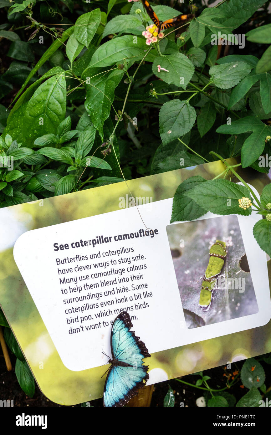 Interpretive exhibit exhibition collection hi-res stock photography and ...