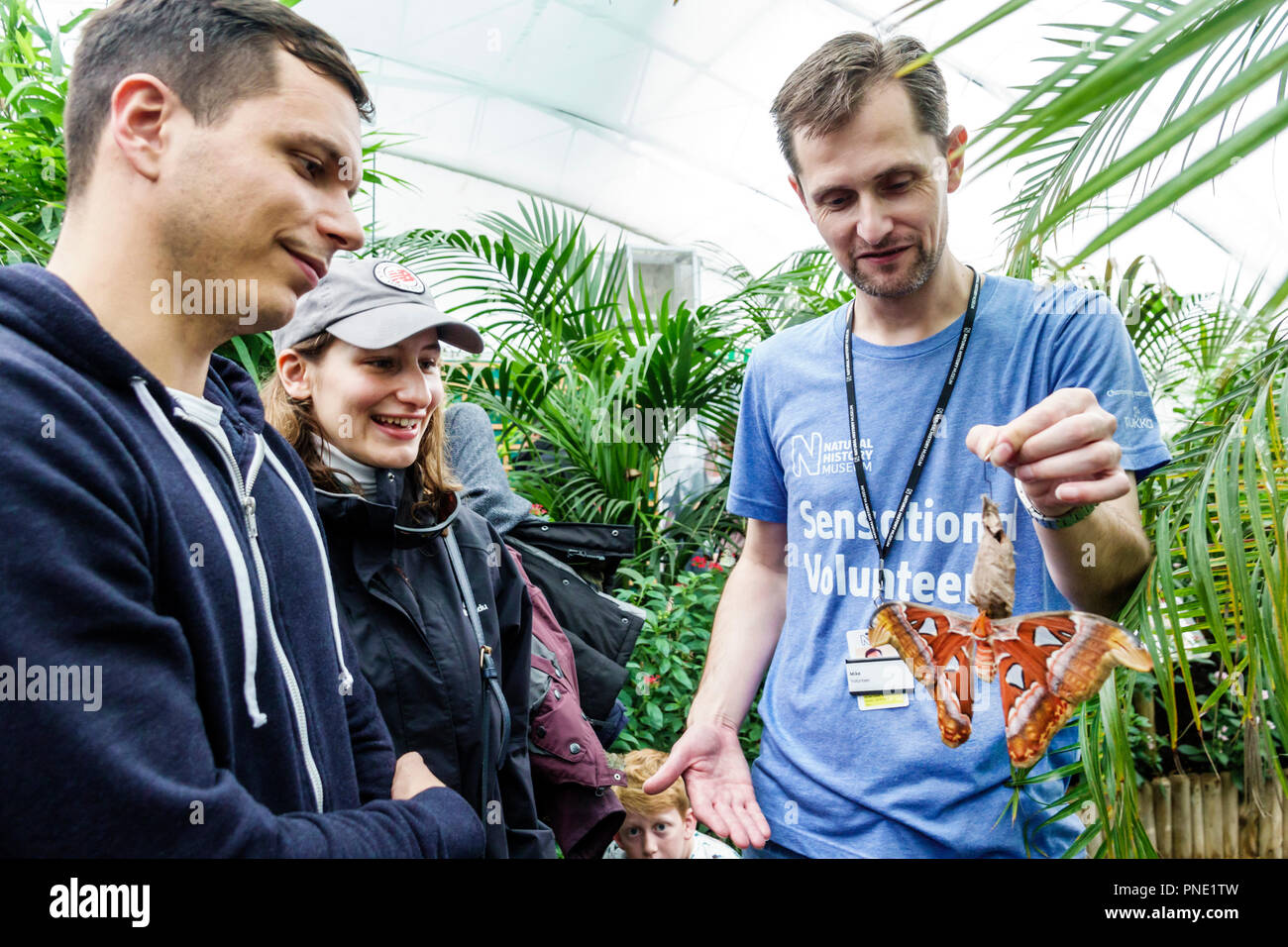 London England,UK,United Kingdom Great Britain,Kensington,Natural ...