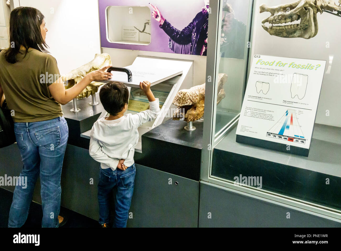 London England,UK,United Kingdom Great Britain,Kensington,Natural ...