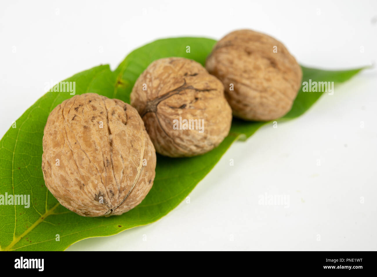 Walnuts in shell on a white kitchen table. Fruit for desserts and ...