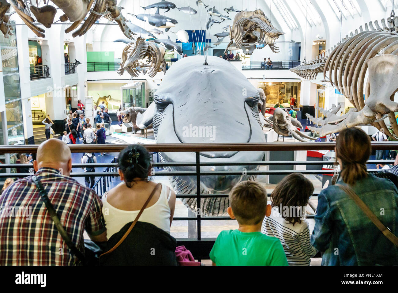 London England,UK,United Kingdom Great Britain,Kensington,Natural ...