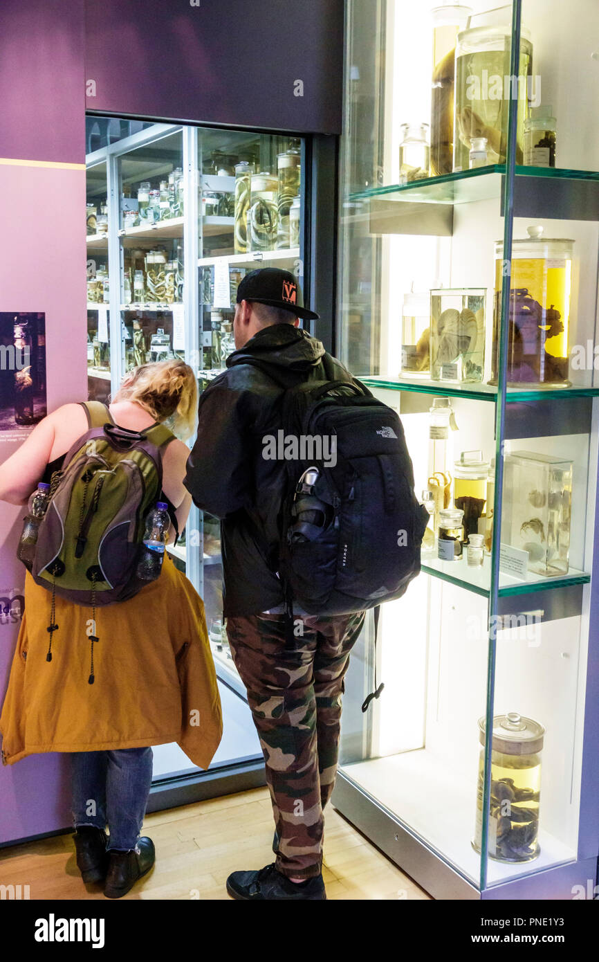 Specimen jars museum of hi-res stock photography and images - Alamy