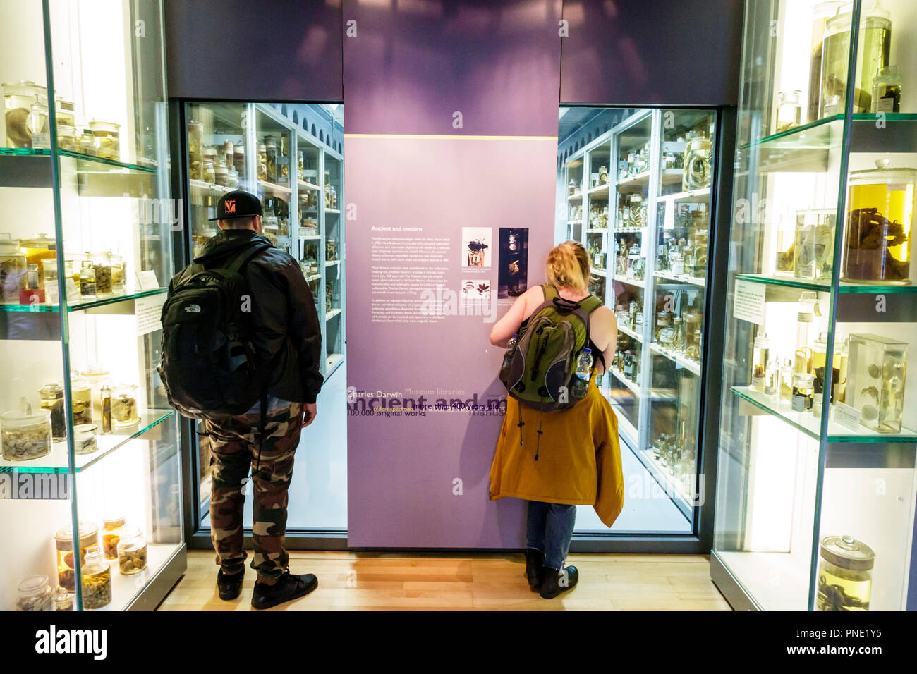 Specimen jars museum of hi-res stock photography and images - Alamy