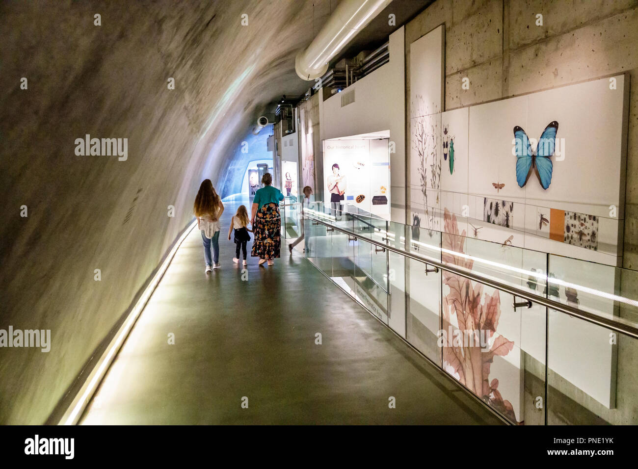 Cocoon making hi-res stock photography and images - Alamy