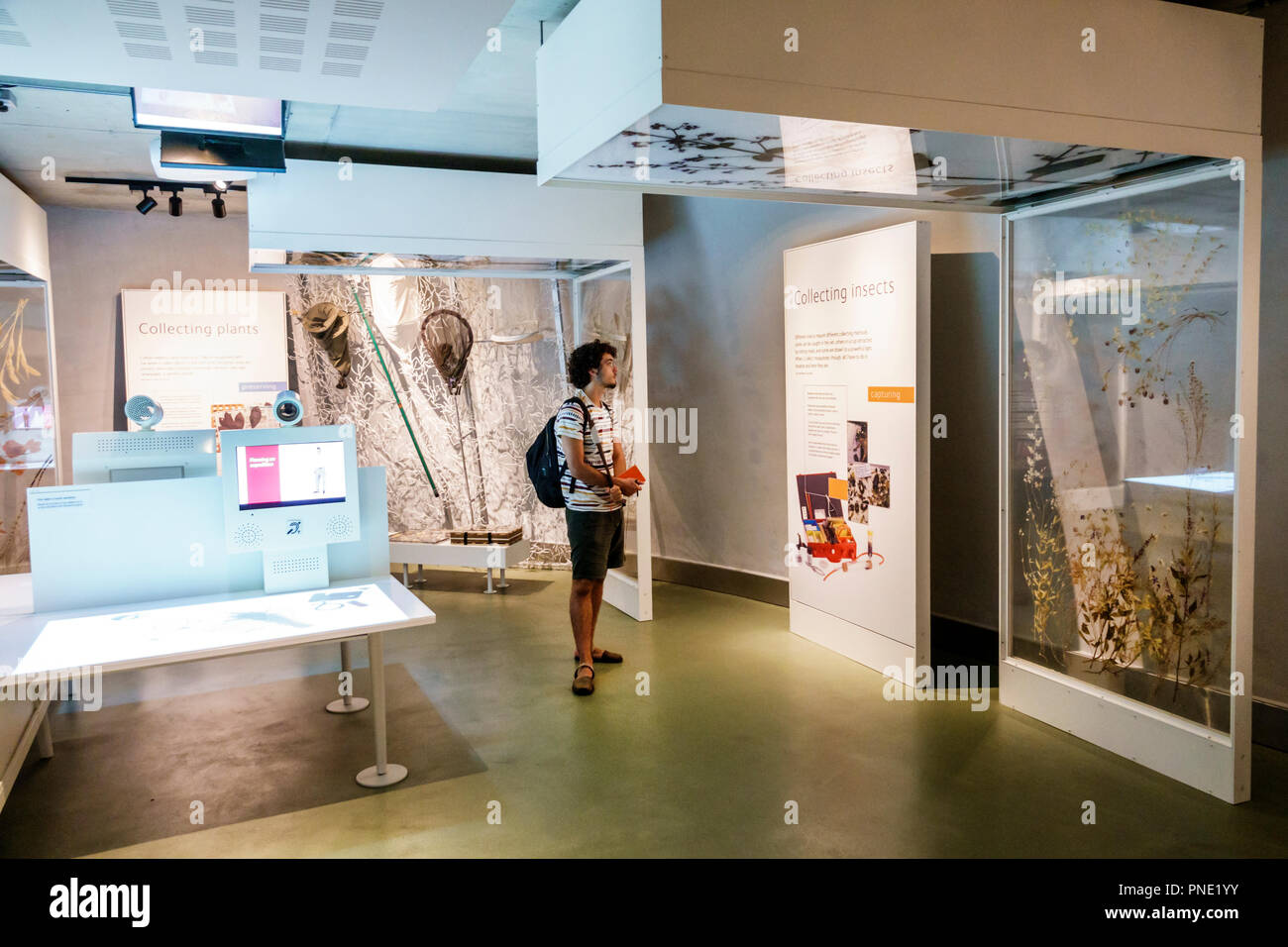 Zoologi In Laboratorio A New Species Of The Genus Amolops (Amphibia: