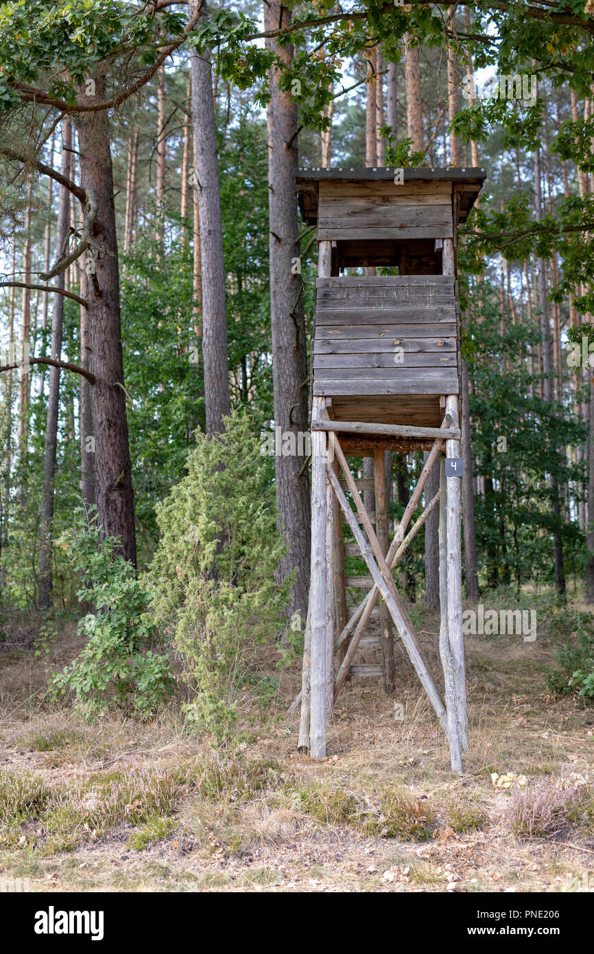 Hunting pulpit at the edge of the forest. A place to observe forest ...
