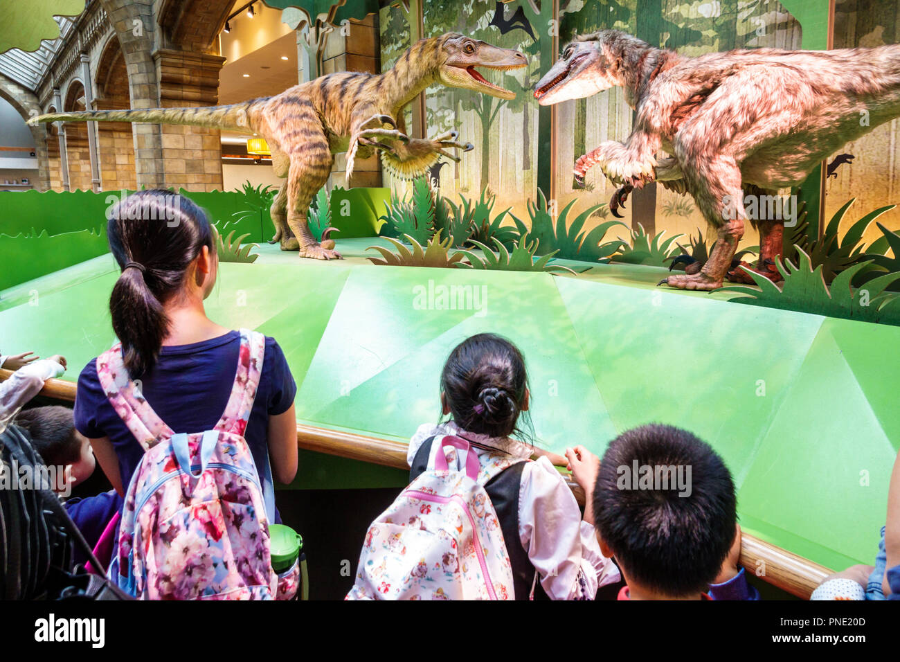 Uk asian adult male moving hi-res stock photography and images - Alamy