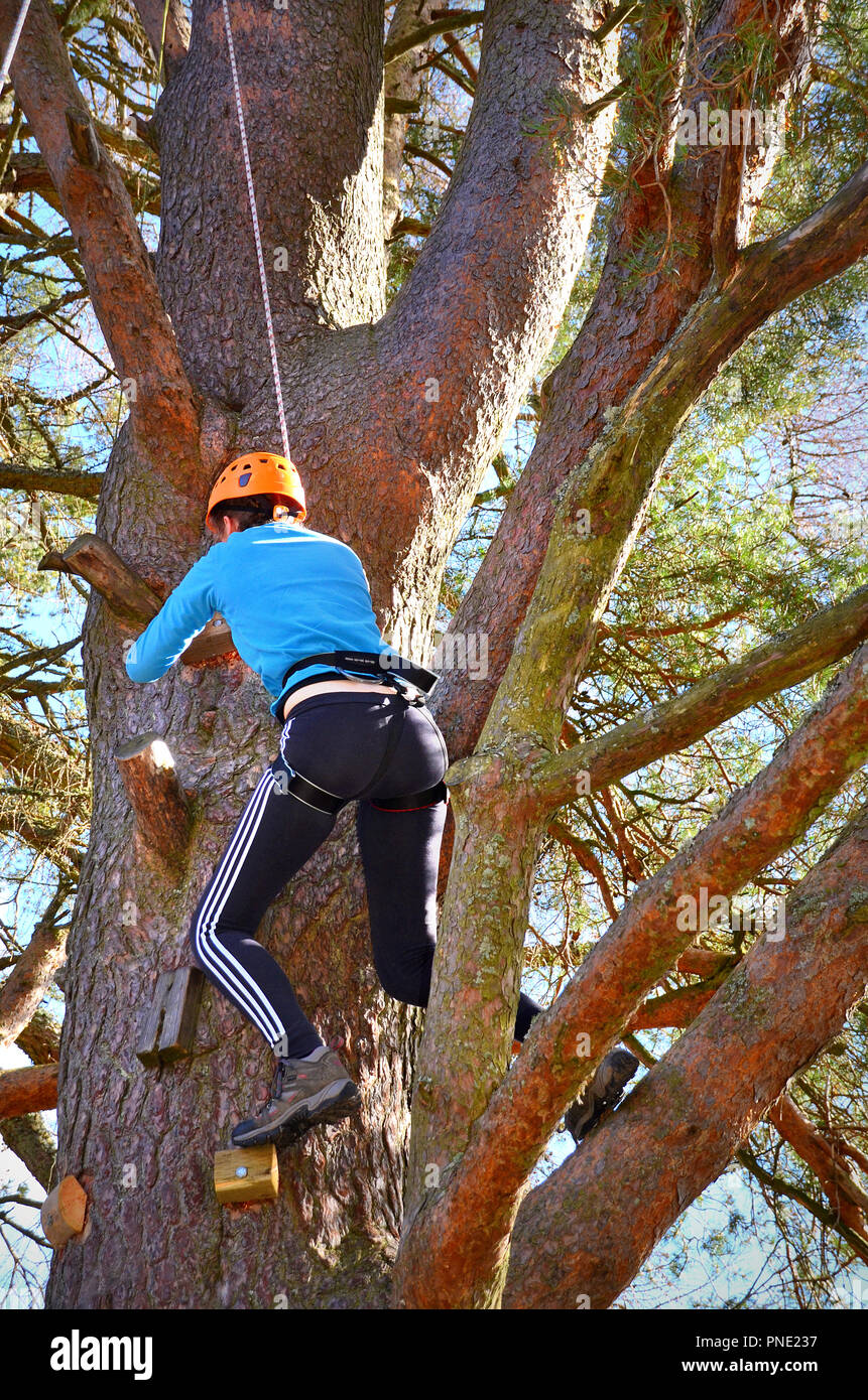 Girl Climbing Tree Stock Photos & Girl Climbing Tree Stock Images - Alamy