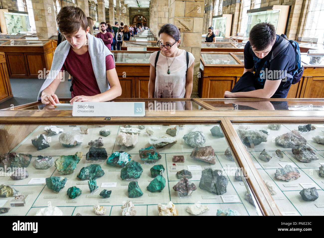 Exhibit exhibition collection cabinets hi-res stock photography and ...