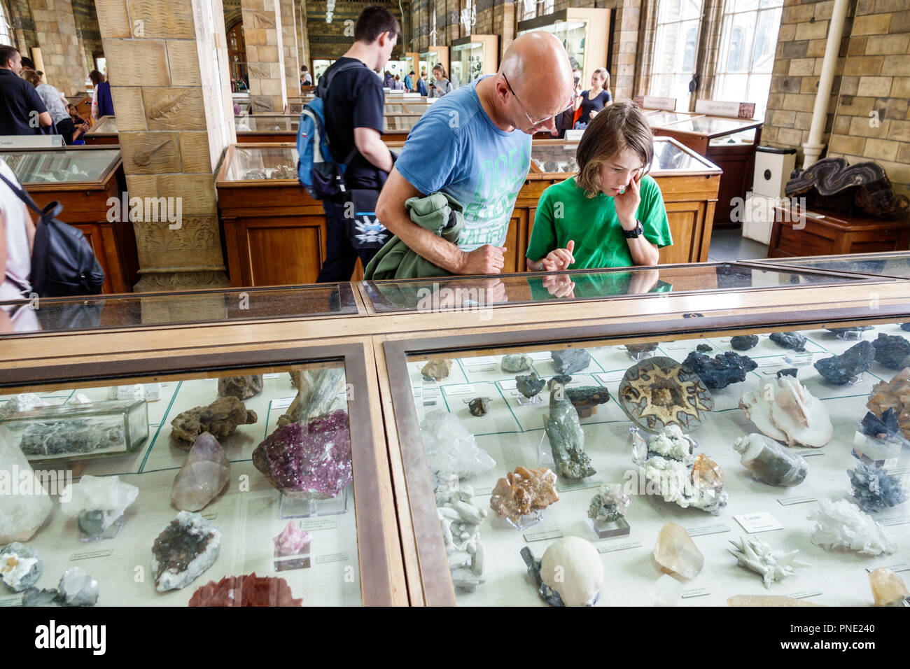 London England,UK,Kensington,Natural History Museum,inside interior ...