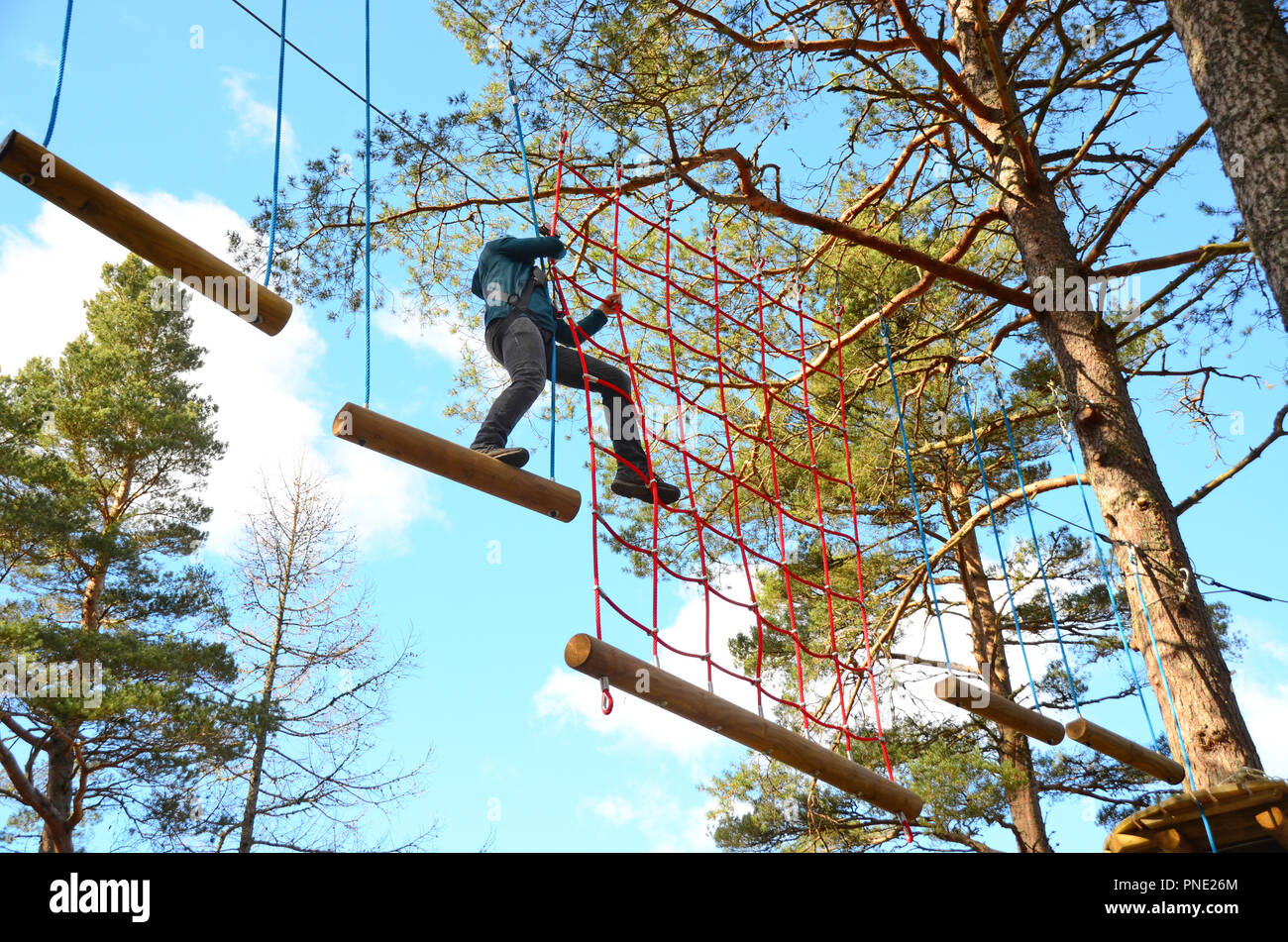Young man on the high tree tops rope course in Glenshee , Scotland ...